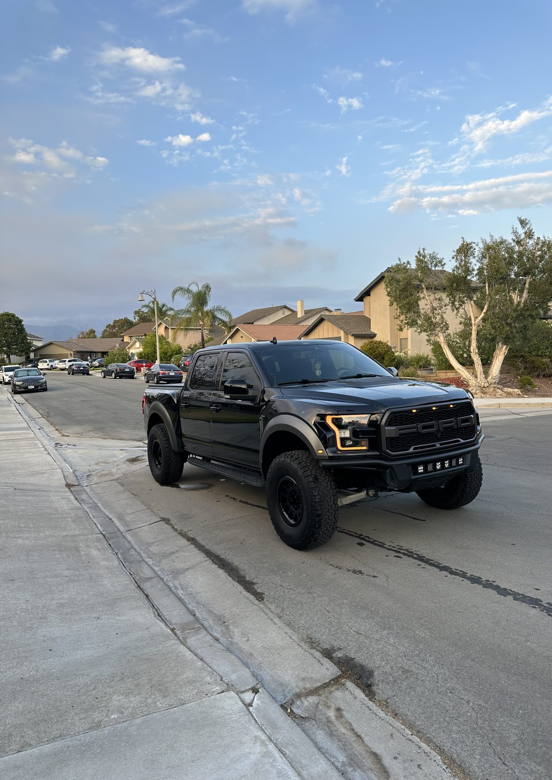 Blacked Out Lifted Ford Raptor