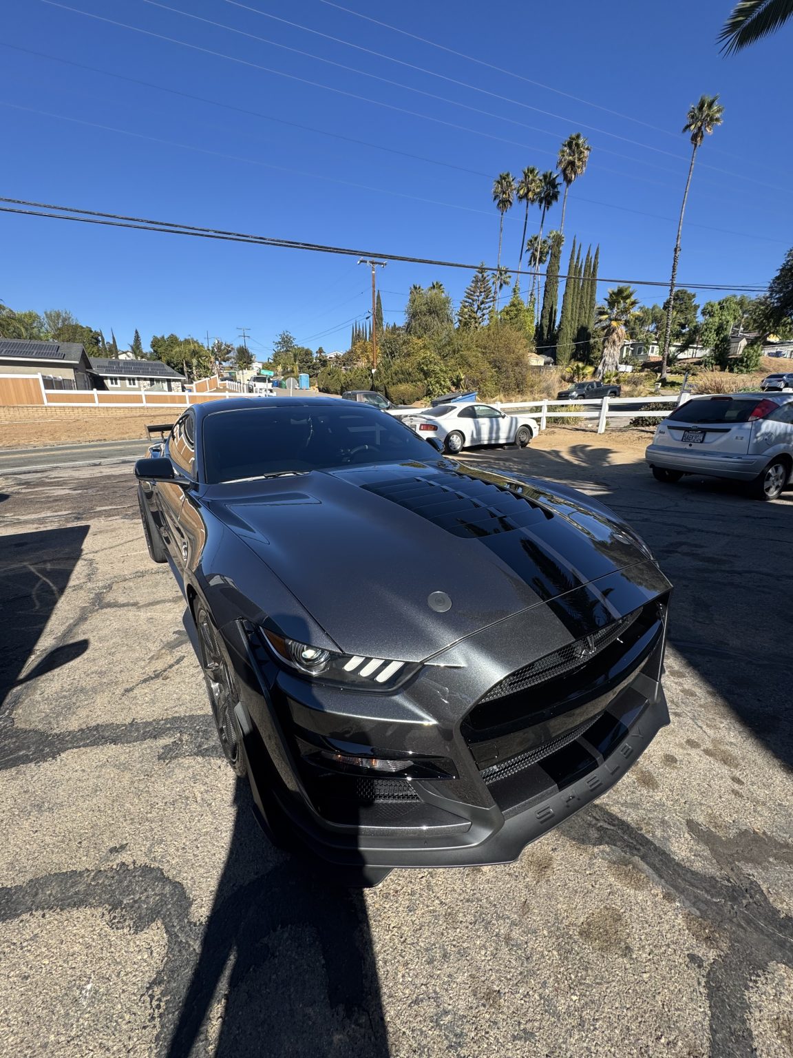 2020 Mustang GT500 Carbon Fiber Track Pack – Str8Up Toy Trader